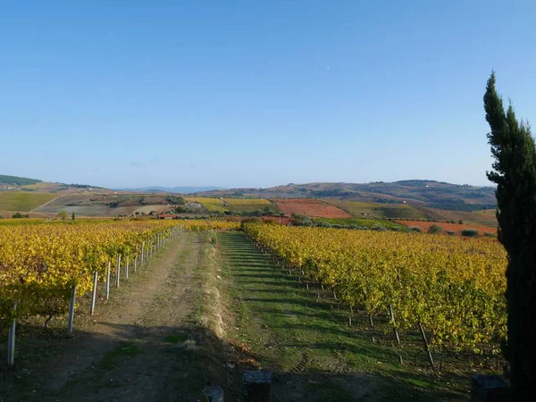 Conca de barbera fotos de stock, imágenes de Conca de barbera sin ...