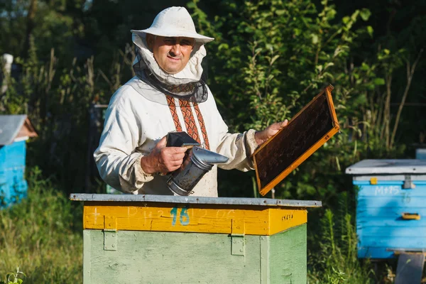 Apiarist making inspection in apiary - Stock Image - Everypixel