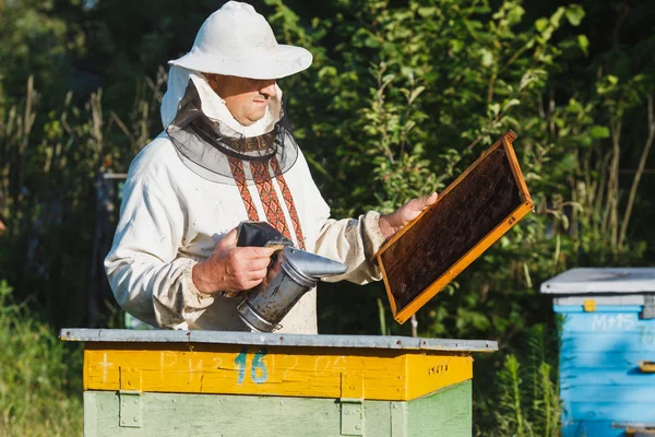 Apiarist making inspection in apiary - Stock Image - Everypixel