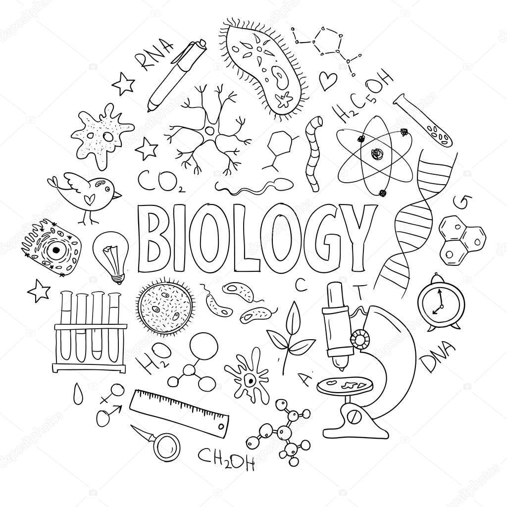 Hand drawn vector set with school equipment. Can be used for design ...