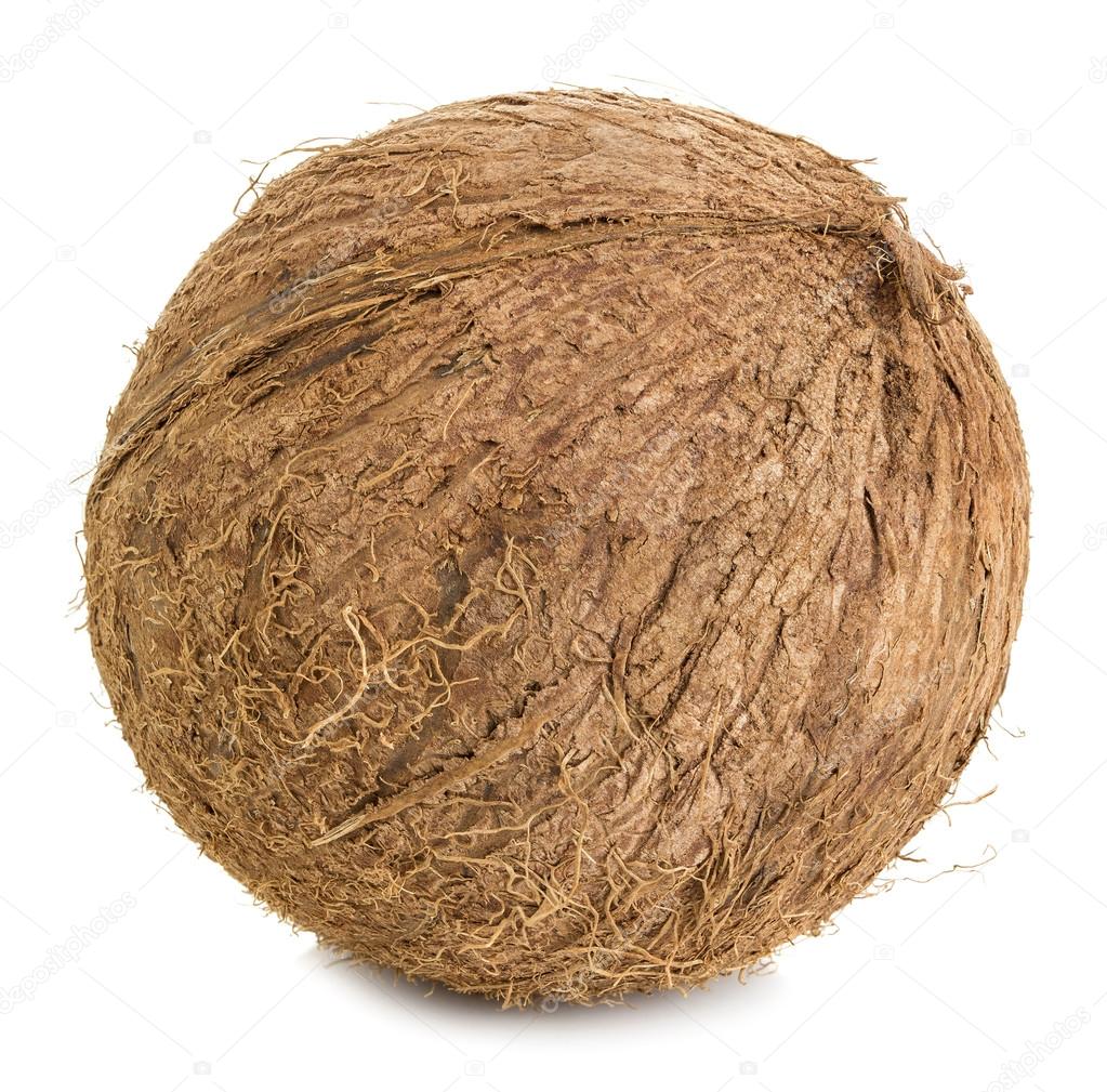 Big coconut close-up isolated on a white background. — Stock Photo ...