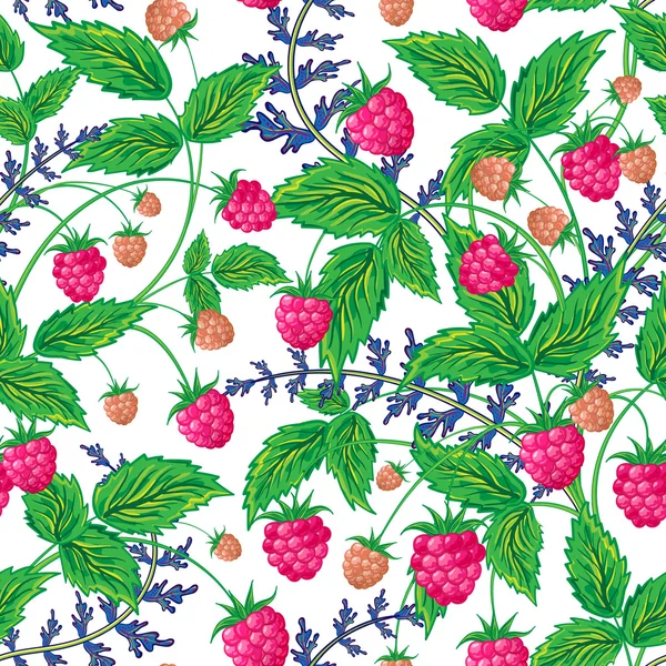 Seamless raspberry pattern. Cute hand drawing raspberry background ...