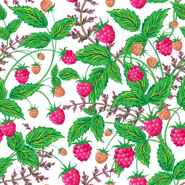 Seamless raspberry pattern. Cute hand drawing raspberry background ...