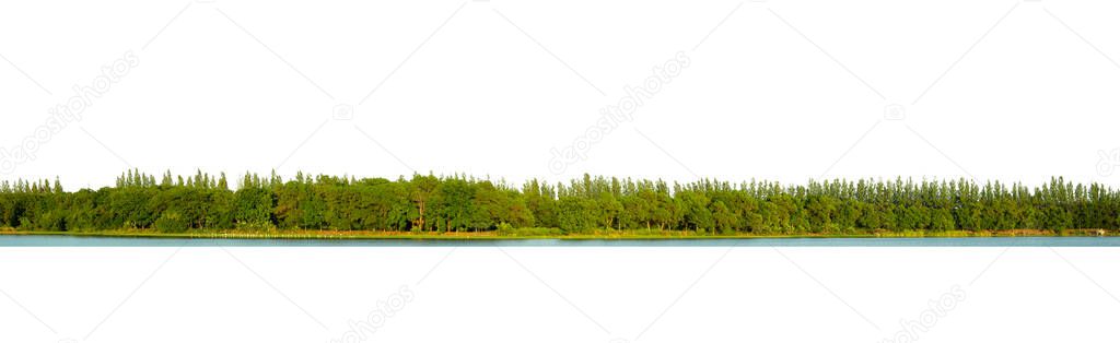 Tree line line Stock Photos, Royalty Free Tree line line Images ...