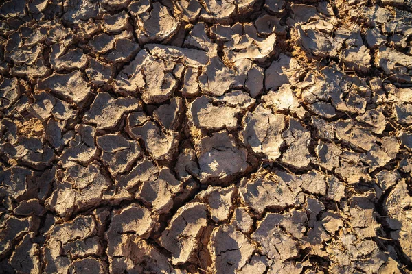 Texture of dry and dehydrated ground surface with cracks. - Stock Image ...