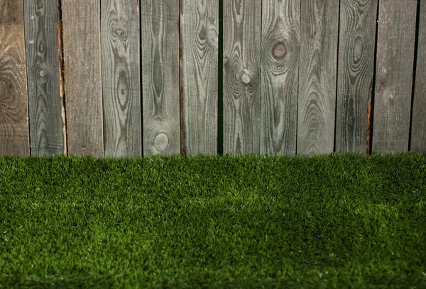 Grass — Stock Photo © robertsrob #25298047