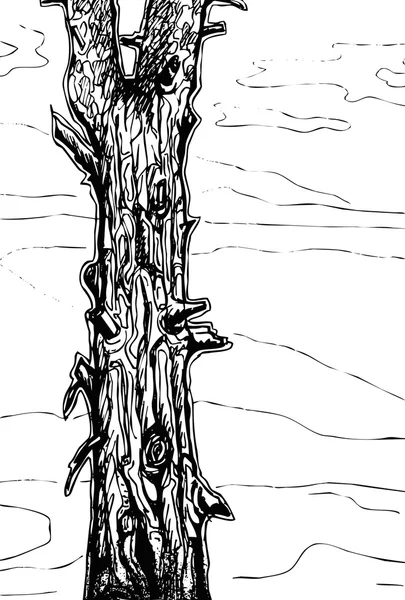 Tree bark Vector Art Stock Images | Depositphotos