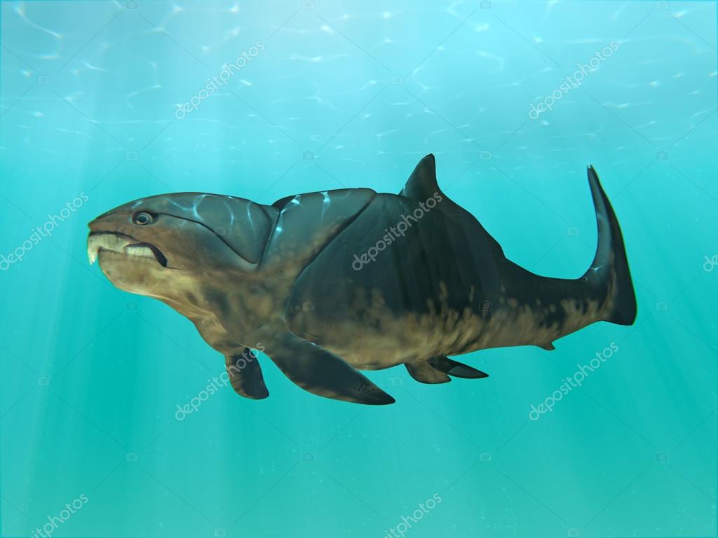 Devonian Sharks