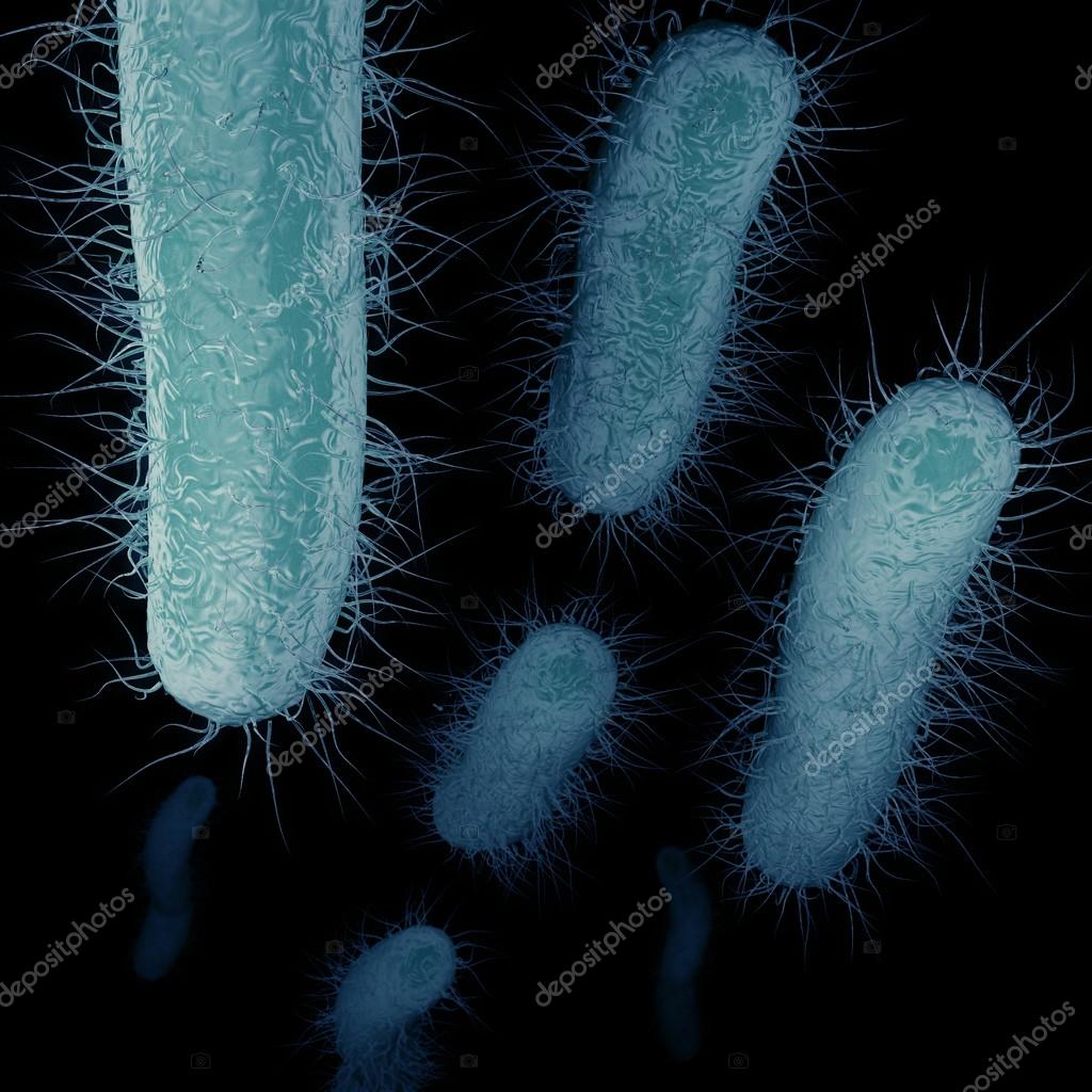 Enterobacterias resistentes a los carbapenem (CRE) Natación: fotografía ...