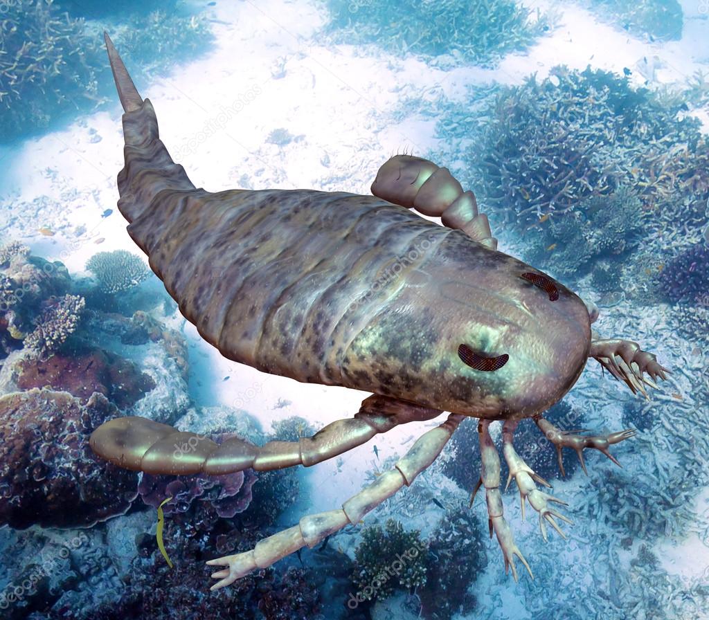 Eurypterus Scanning Seafloor Stock Photo by ©auntspray 80091234