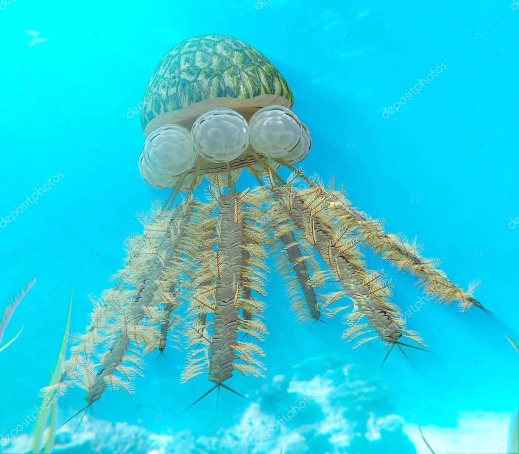 Graptolite Floating — Stock Photo © auntspray #80091346