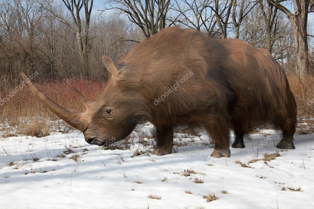 Woolly Rhinoceros In Ice Age Forest — Stock Photo © auntspray #80093570