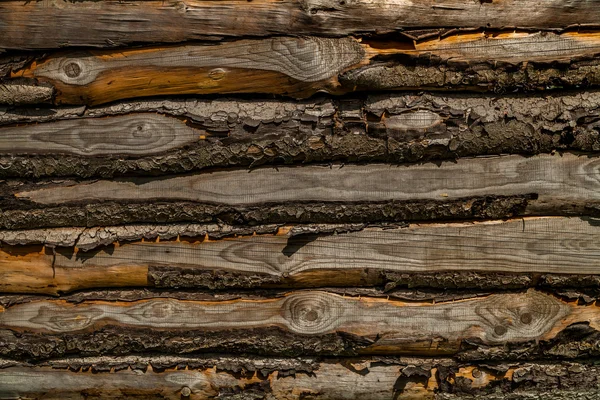 Spruce wood Stock Photos, Royalty Free Spruce wood Images | Depositphotos®