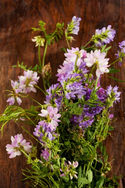 Wild flowers, vetch, crown vetch and tufted vetch — Stock Photo ...