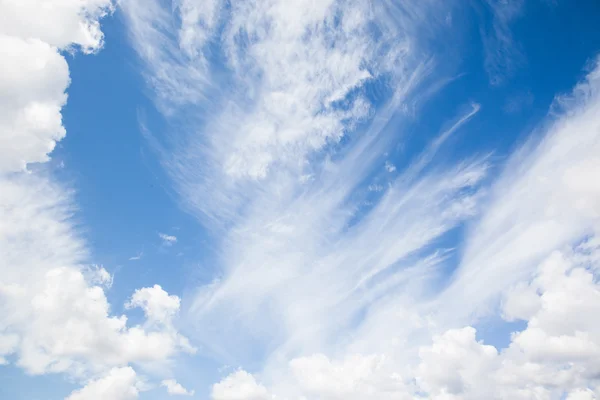 Different types of clouds on blue sky, sea gulls flying Stock Photo by ...
