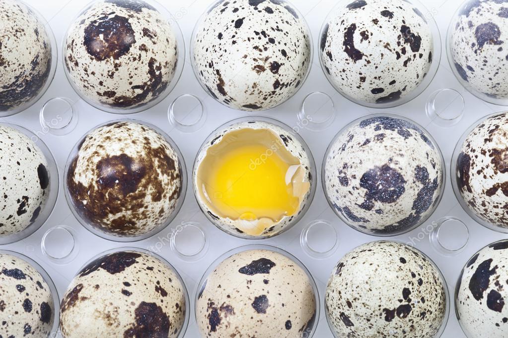Spotted Quail eggs in egg box with one broken, elevated view Stock Photo by ©TunedIn61 85073172