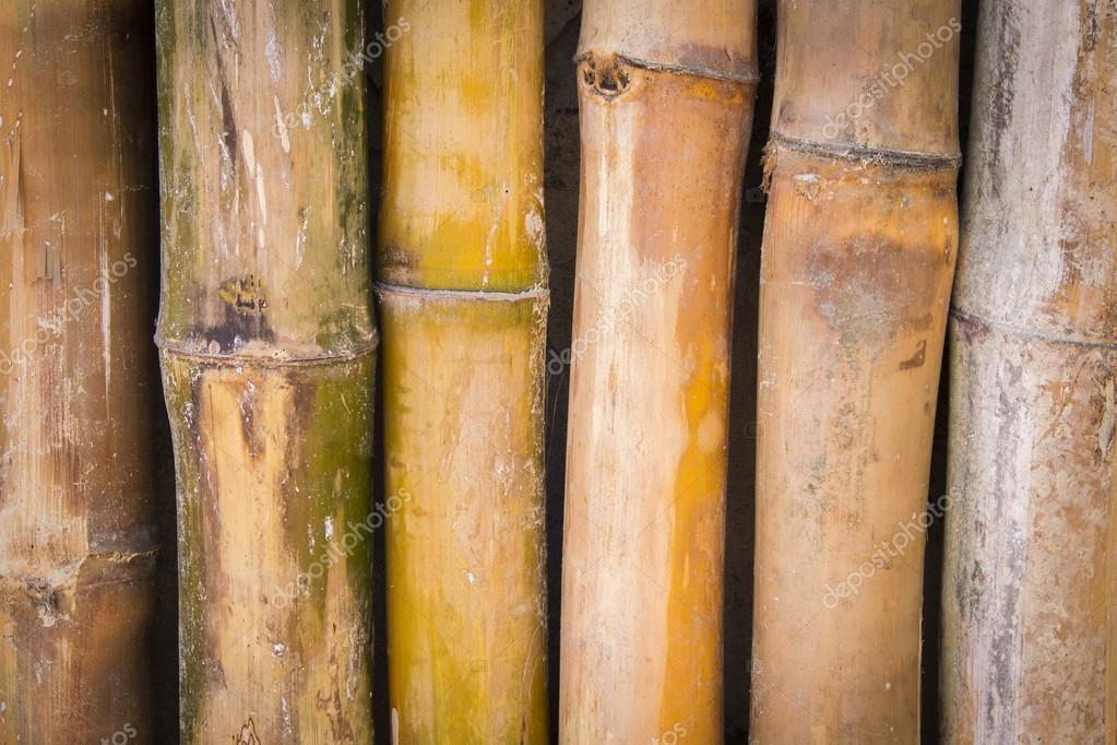 Bamboo wall from whole logs — Stock Photo © TunedIn61 #88187158