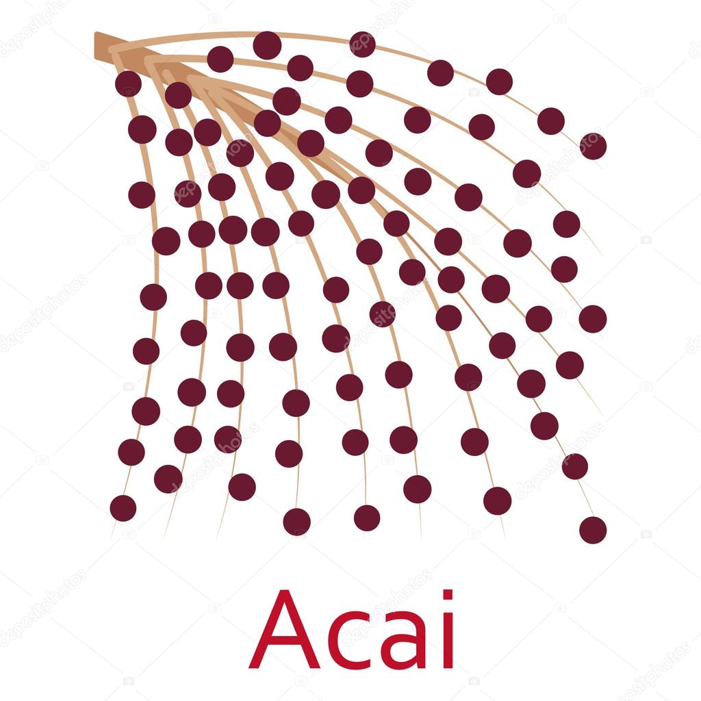 Super food icon. Acai. Vector illustration. Stock Vector Image by ...