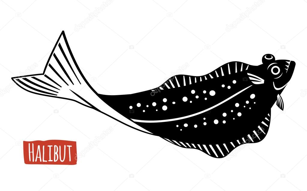 Halibut Silhouette Halibut Fish Shape Svg Png Icon Free Download