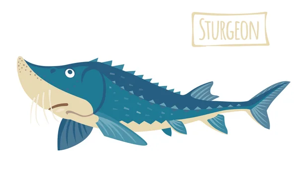 100,000 Sturgeon Vector Images | Depositphotos