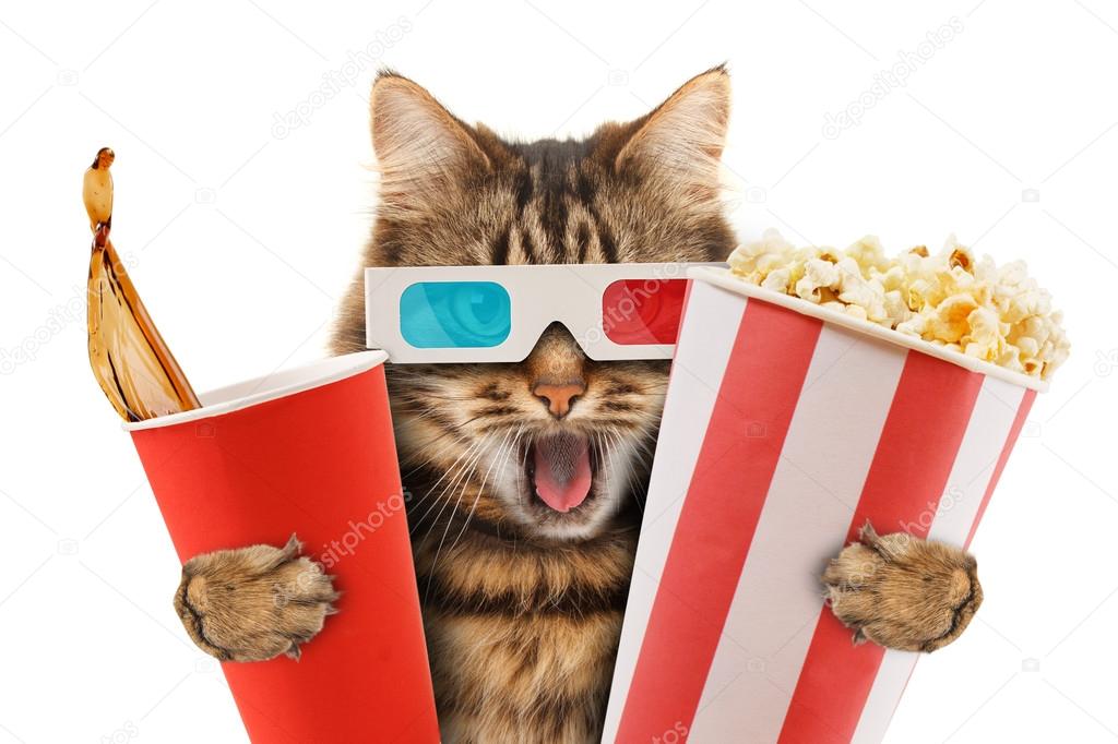 Cat watching a movie — Stock Photo © funny_cats #80418954
