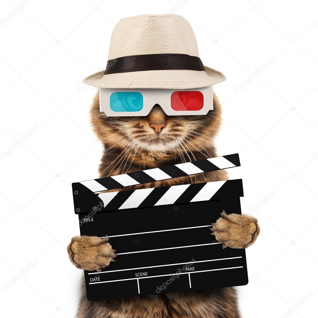 Movie director cat — Stock Photo © funny_cats #80418962