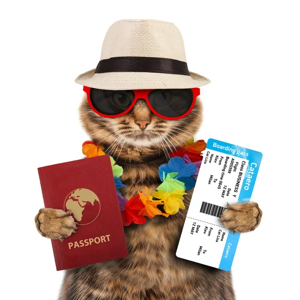 Cat with passport and airline ticket — Stock Photo © funny_cats #80976440