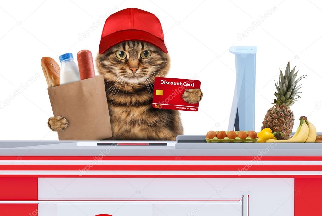 Cat working as a cashier Stock Photo by ©funny_cats 80421262