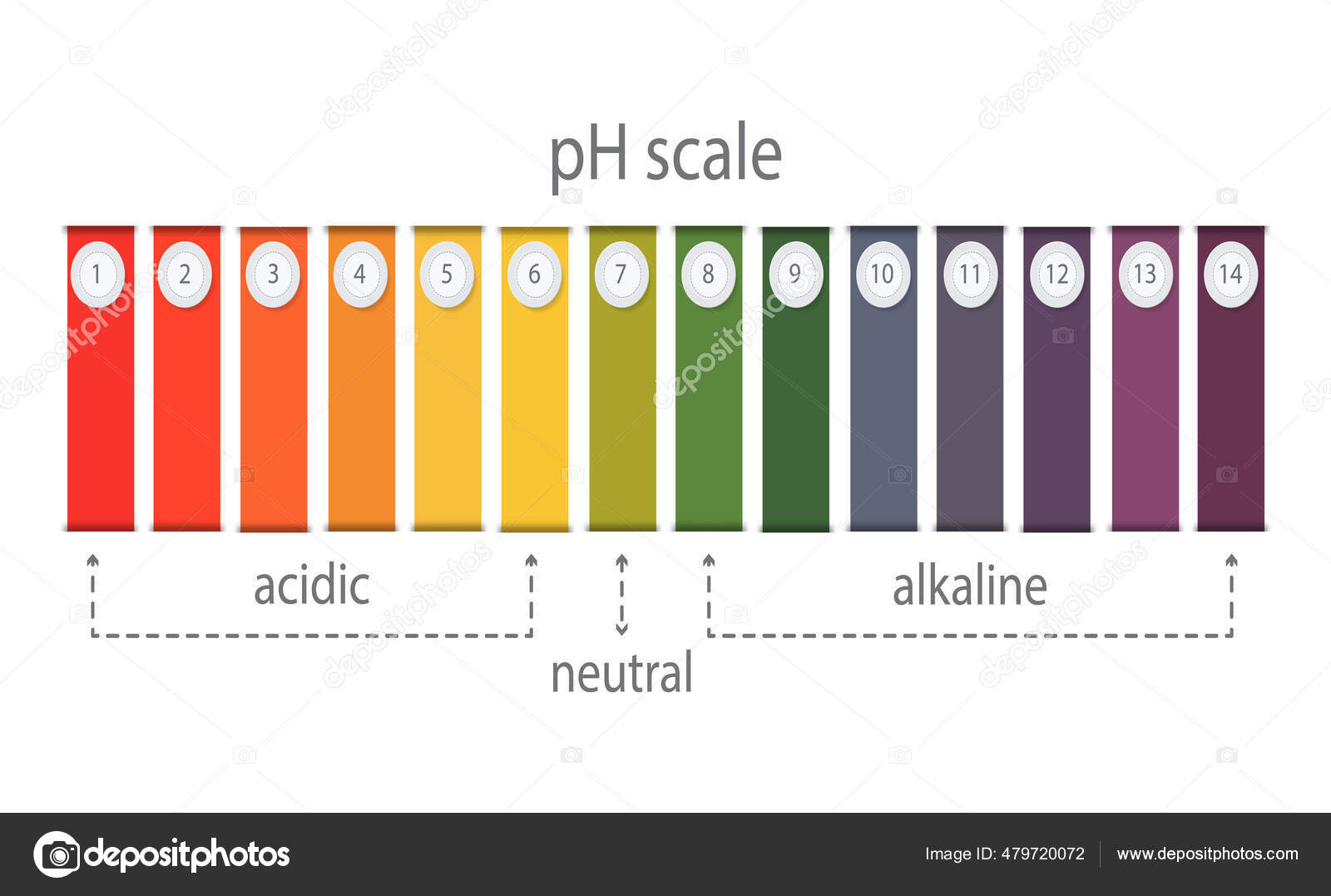 Escala De Ph Equilibrio Acidobase De Infografa Escala Para La Base