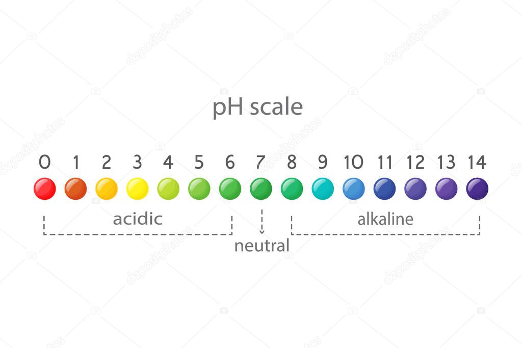 Gráfico de escala de pH para soluciones ácidas y alcalinas, infografía de equilibrio ácido-base ...