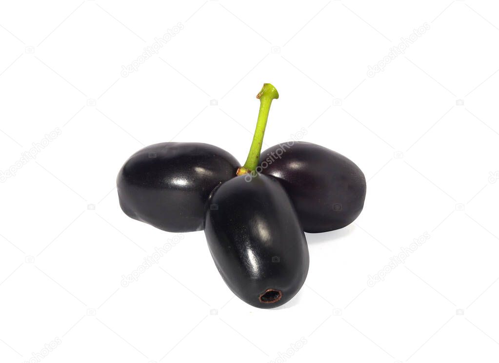 Ciruela Jambolan, fruta madura o ciruela Java fresca Ciruela Bushy Dark ...