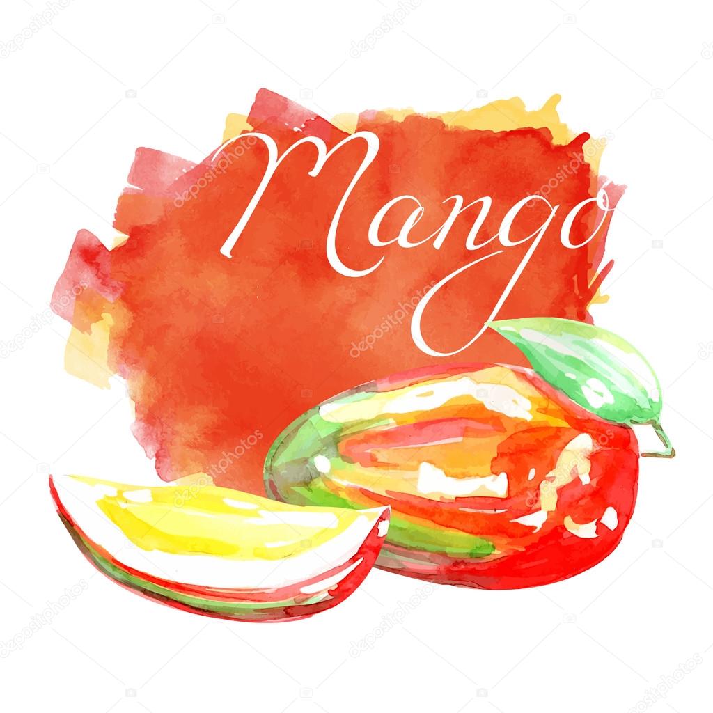 Watercolor banners with mango Stock Vector Image by ©zabavinaula #80158748
