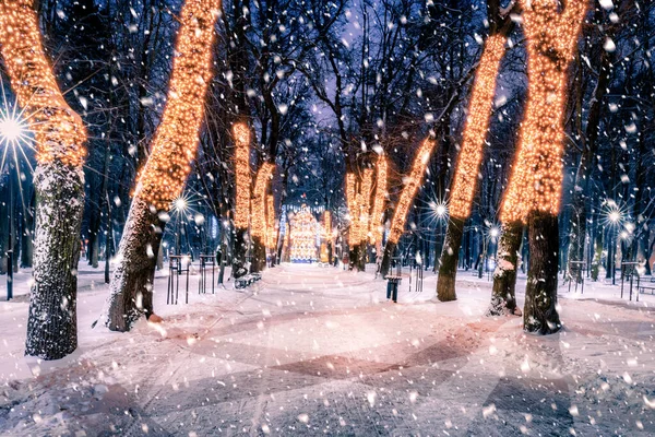 Chicago Christmas Lights Wallpaper