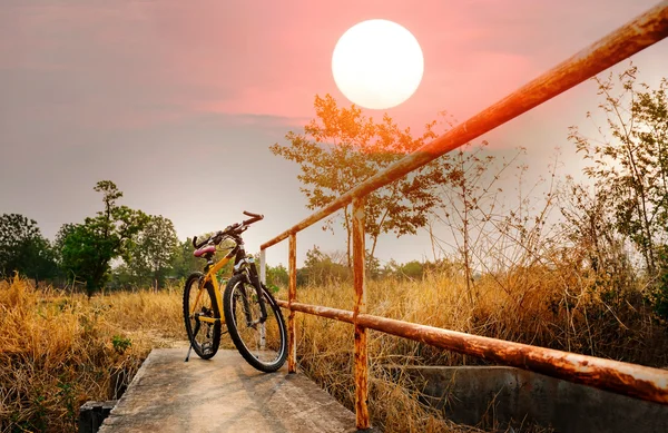 Beautiful Mountain bike on concrete bridge. - Stock Image - Everypixel