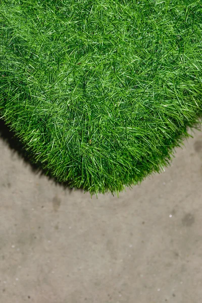 Artificial turf Stock Photos, Royalty Free Artificial turf Images ...
