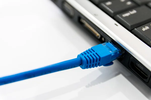 Local Area Network Images - Search Images on Everypixel