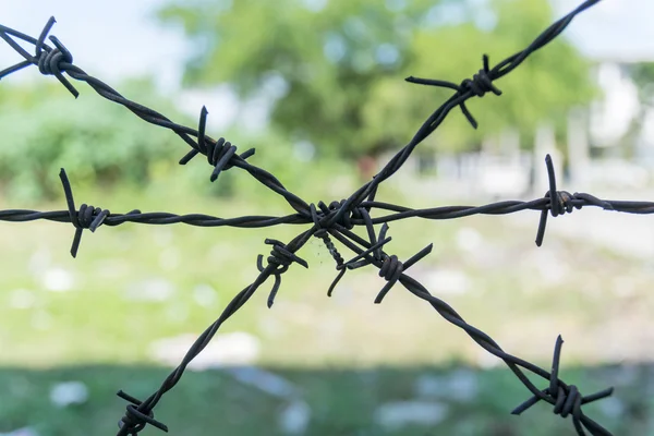 Barbed wire Stock Photo by ©natenn 3773933