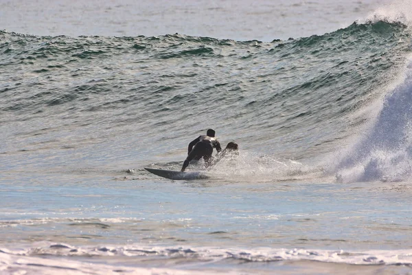 Ojciec i syn surfing Stock Photos, Royalty Free Ojciec i syn surfing ...