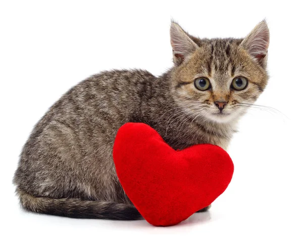 Gatto con cuori Foto Stock, Gatto con cuori Immagini | Depositphotos