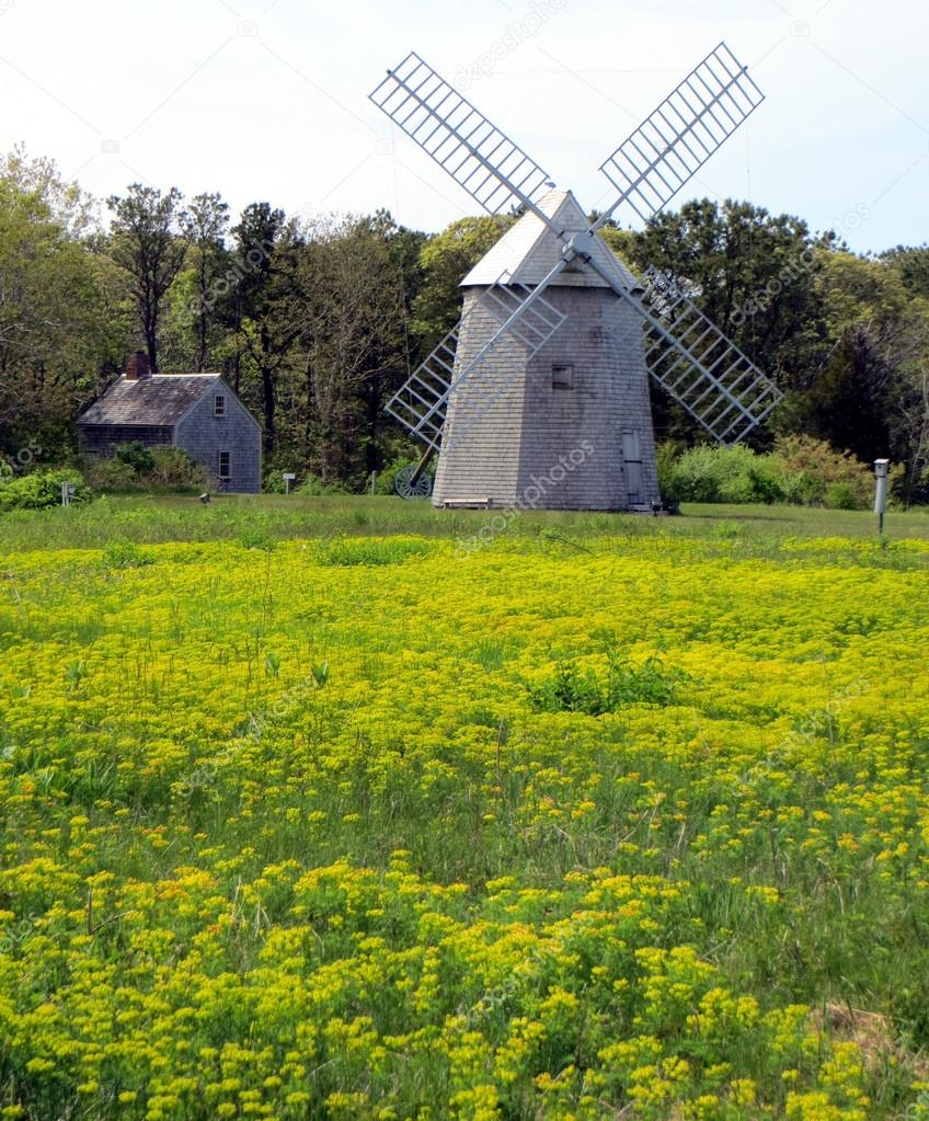 Flower Field Cape Cod | Best Flower Site