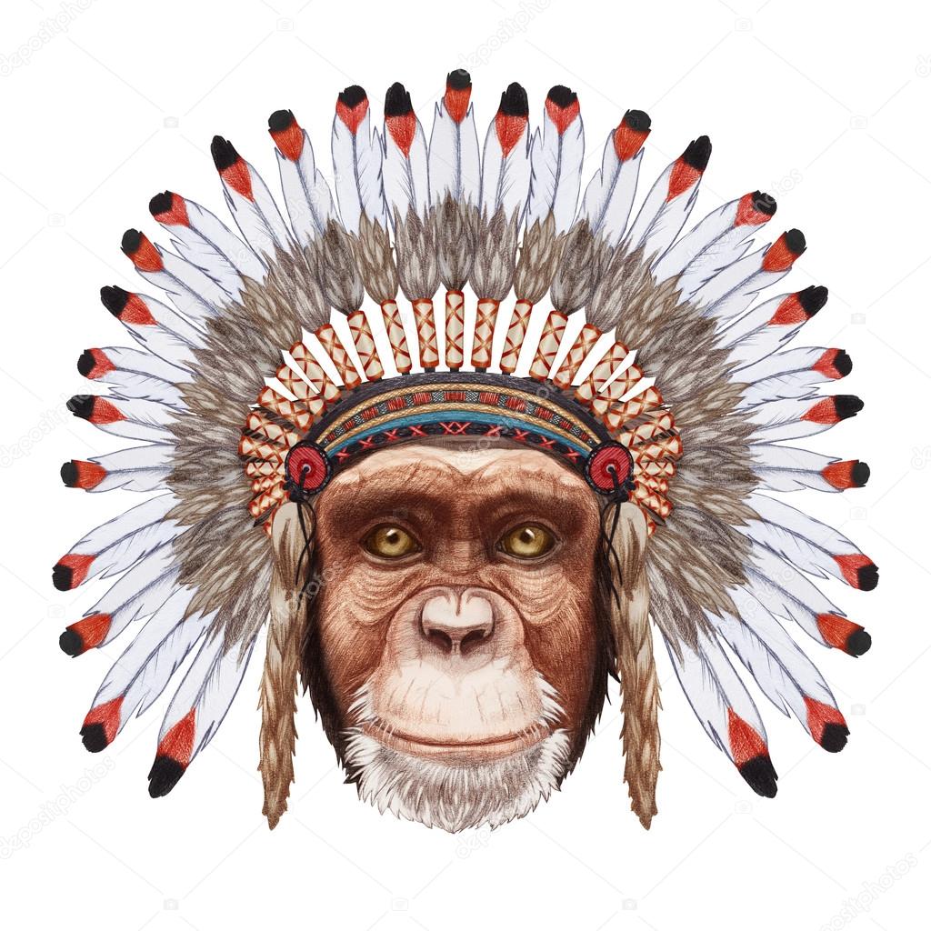 Indian Cheif Monkey