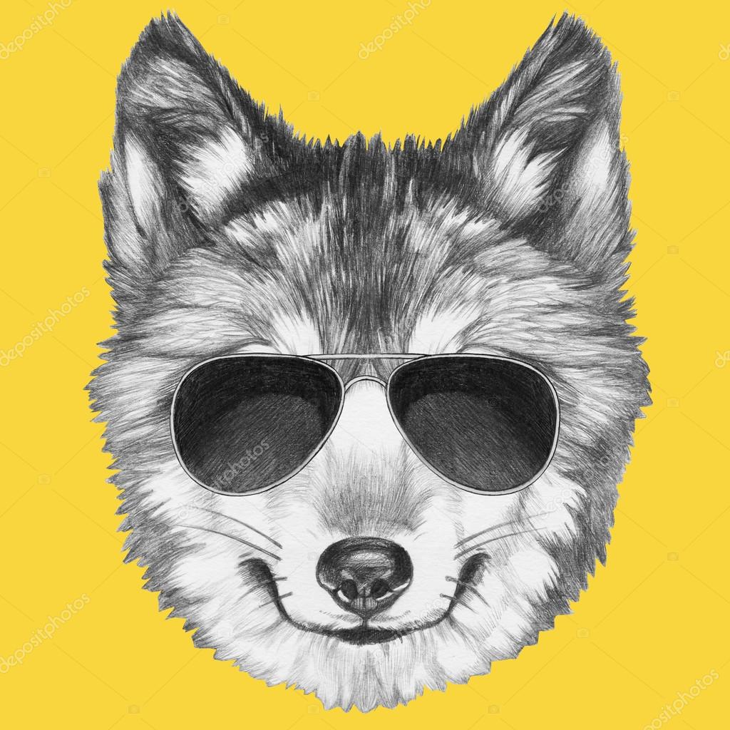 Wolf with glasses and bow tie — Stock Photo © Victoria_Novak #111124958