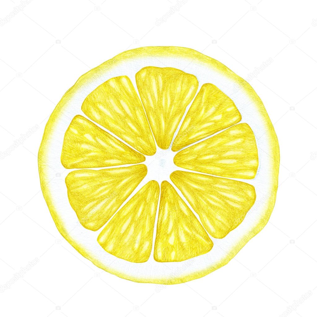 Lemon Slice Sketch