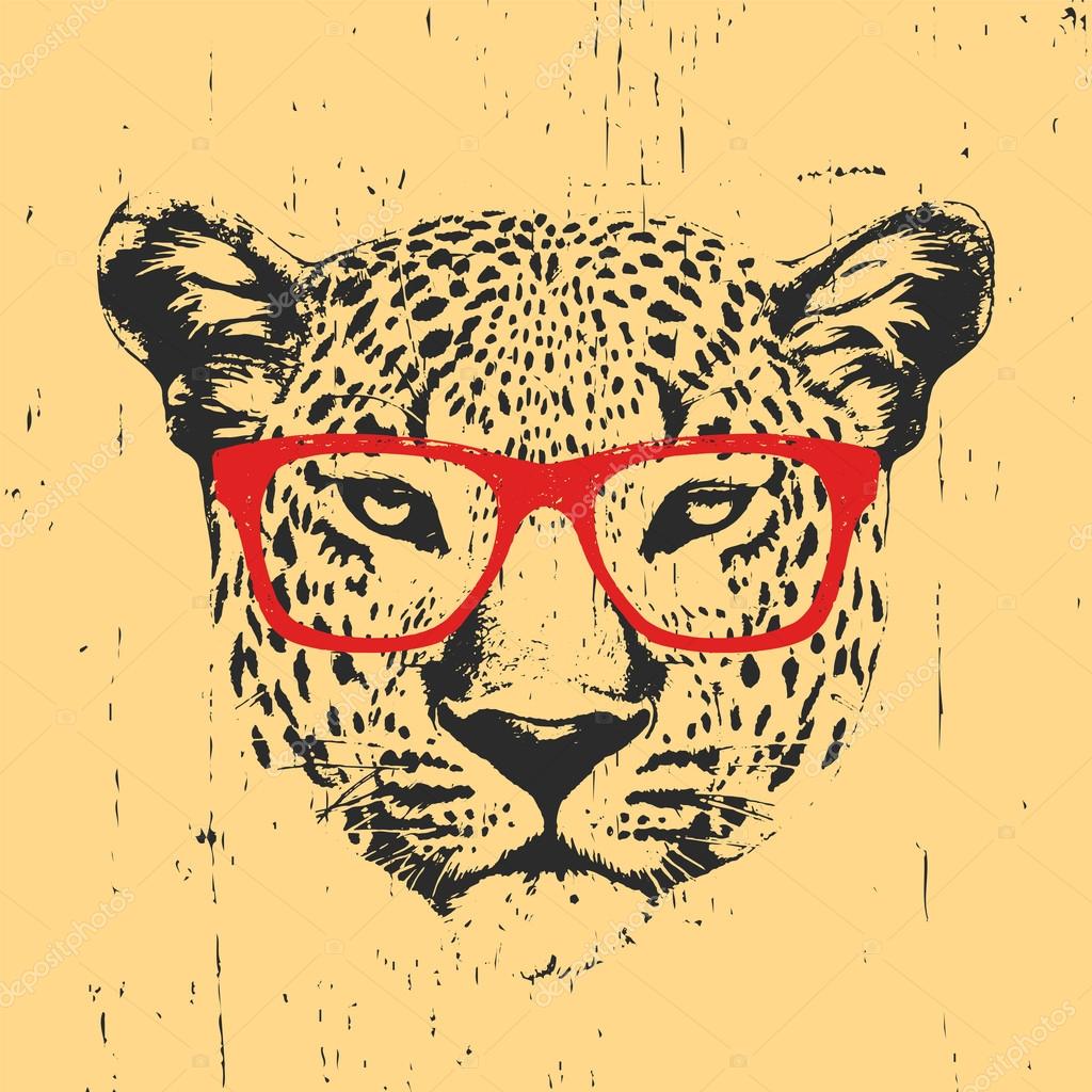 Leopard Roar Drawing How to Draw a Snow Leopard