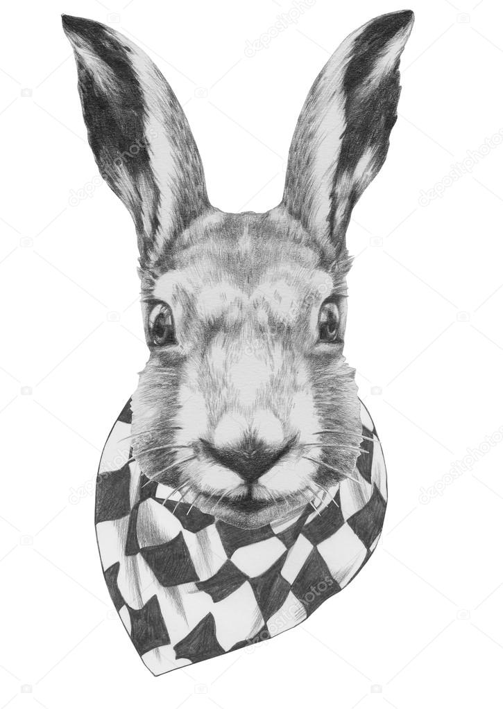 Rabbit Head Sketch