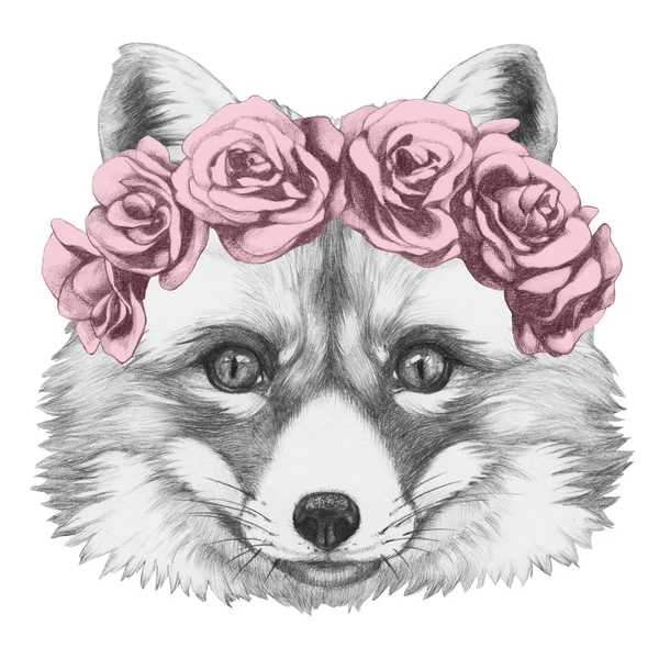 ᐈ Fox drawing stock pictures, Royalty Free woodland fox drawing photos ...