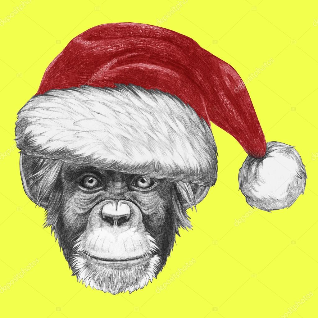 Santa Monkey