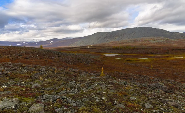 Dovrefjell images libres de droit, photos de Dovrefjell | Depositphotos
