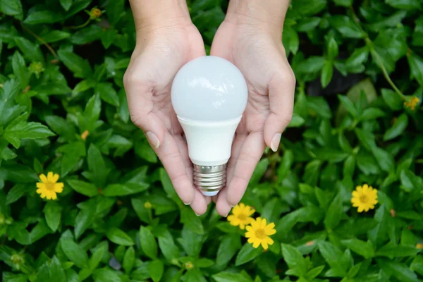 LED Bulb - Technology of eco-friendly lighting - Stock Image - Everypixel