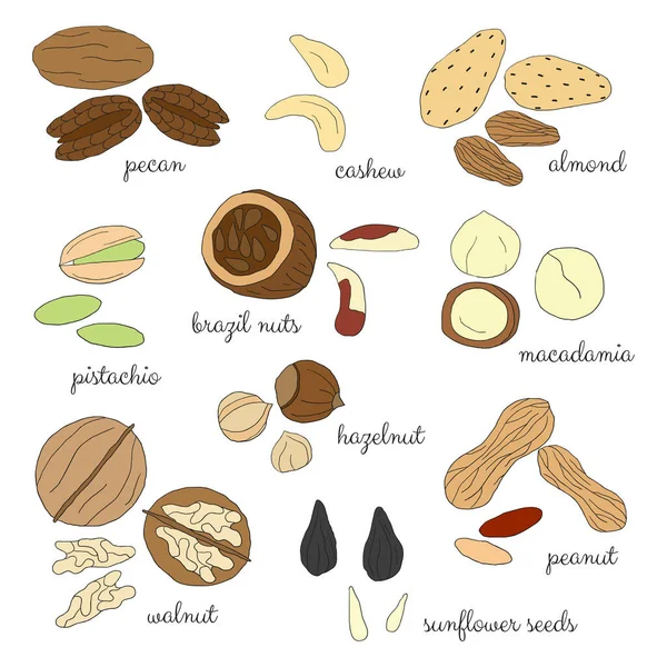 Nut varieties Stock Photos, Royalty Free Nut varieties Images ...